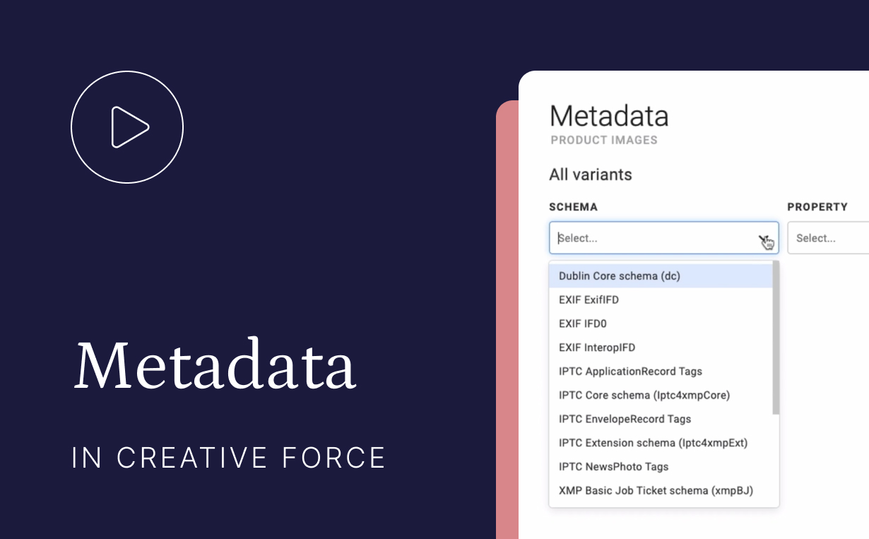 Image Meta Tags Explained » A Beginner to Expert Metadata Guide!